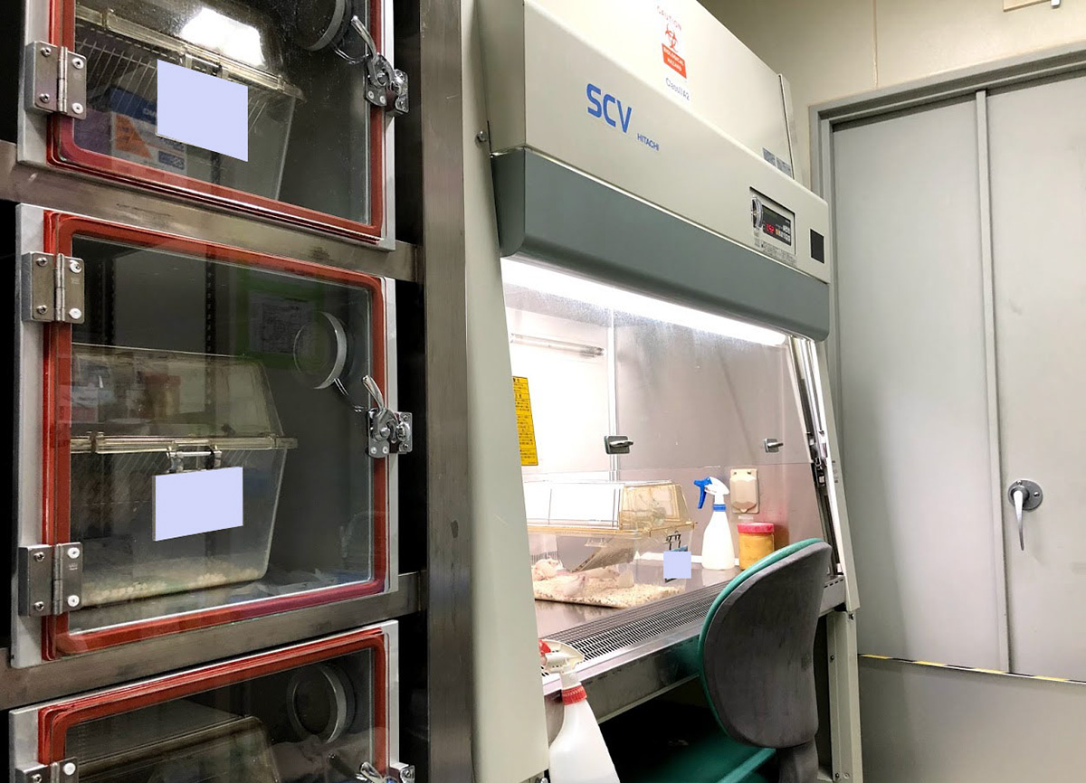 Department of Pathophysiology and Host Defense – [ RIT ] the Research ...